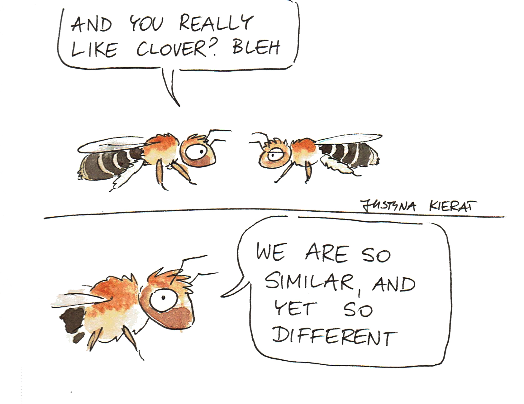 Non-honey bees – Cartoons about the life of wild bees