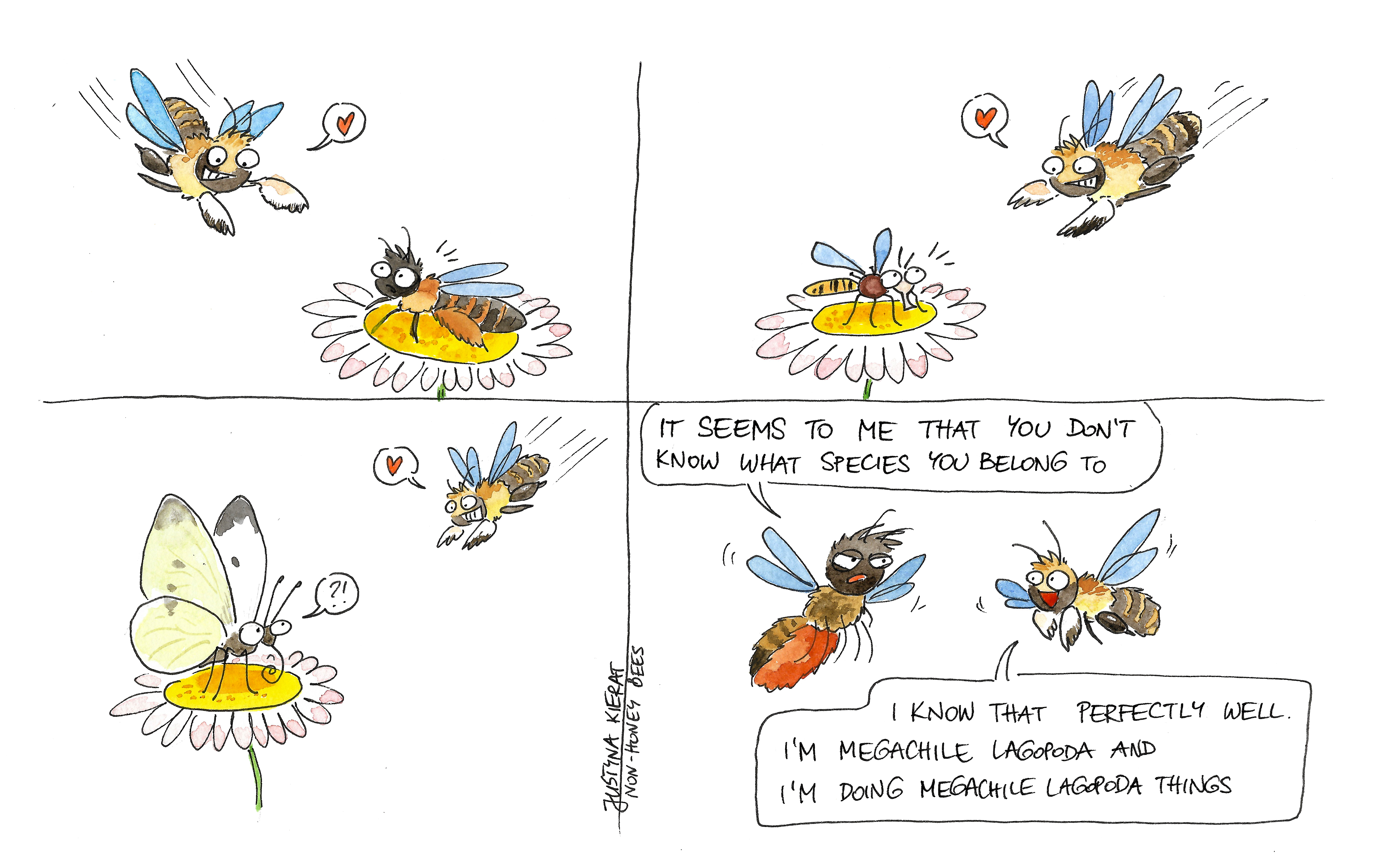 Little bullies – Non-honey bees